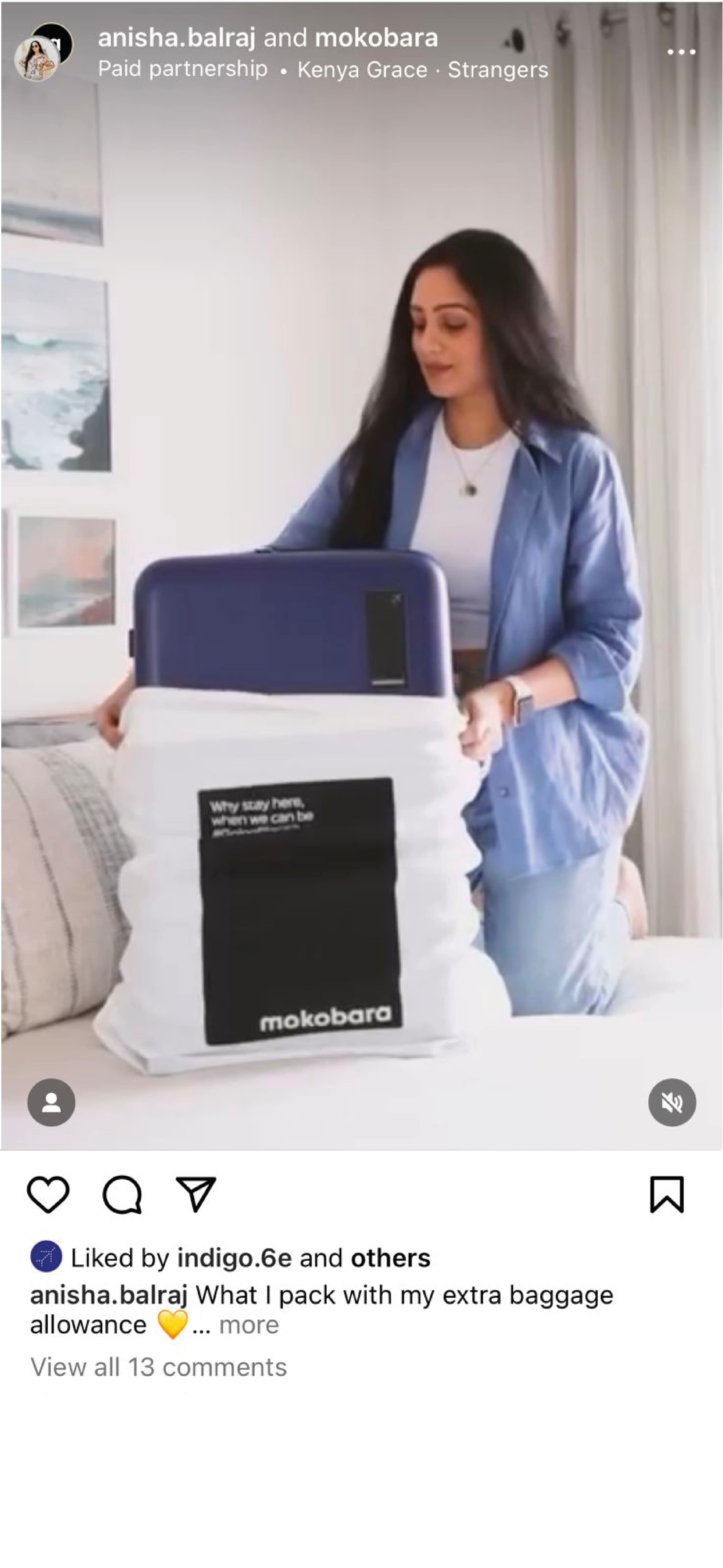 IndiGo X Mokobara - Moko 6E Luggage